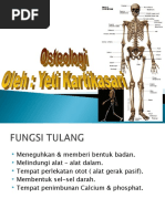 Anatomi Maksila & Mandibula | PDF