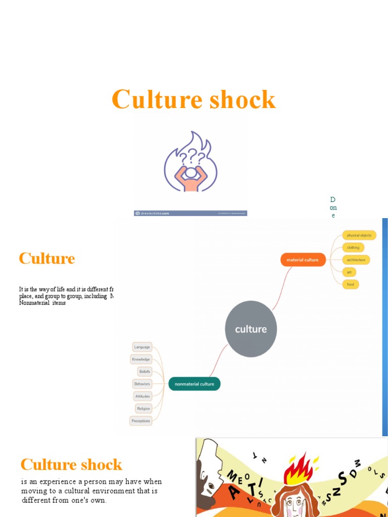 Culture Shock | PDF | Social Science | History