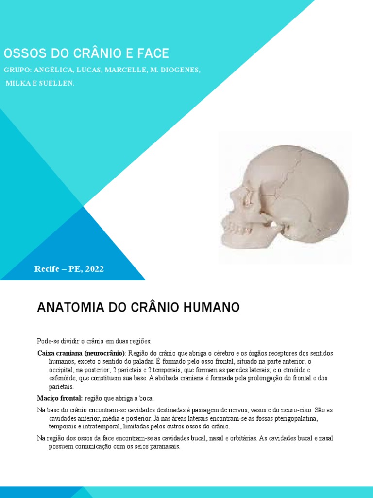 Ossos Do Crânio e Face - Seminario - TSB | PDF | Crânio | Anatomia