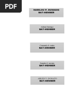 CapDev Template For Barangay | PDF | Health Care | Agriculture