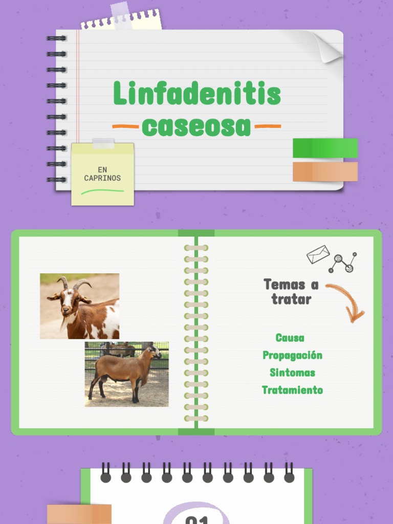 Linfadenitis Caseosa en Caprinos | PDF | Medicina CLINICA ...