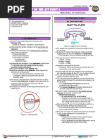 Erytra Eflexis Brochure IM | PDF | Blood Type | Blood Transfusion