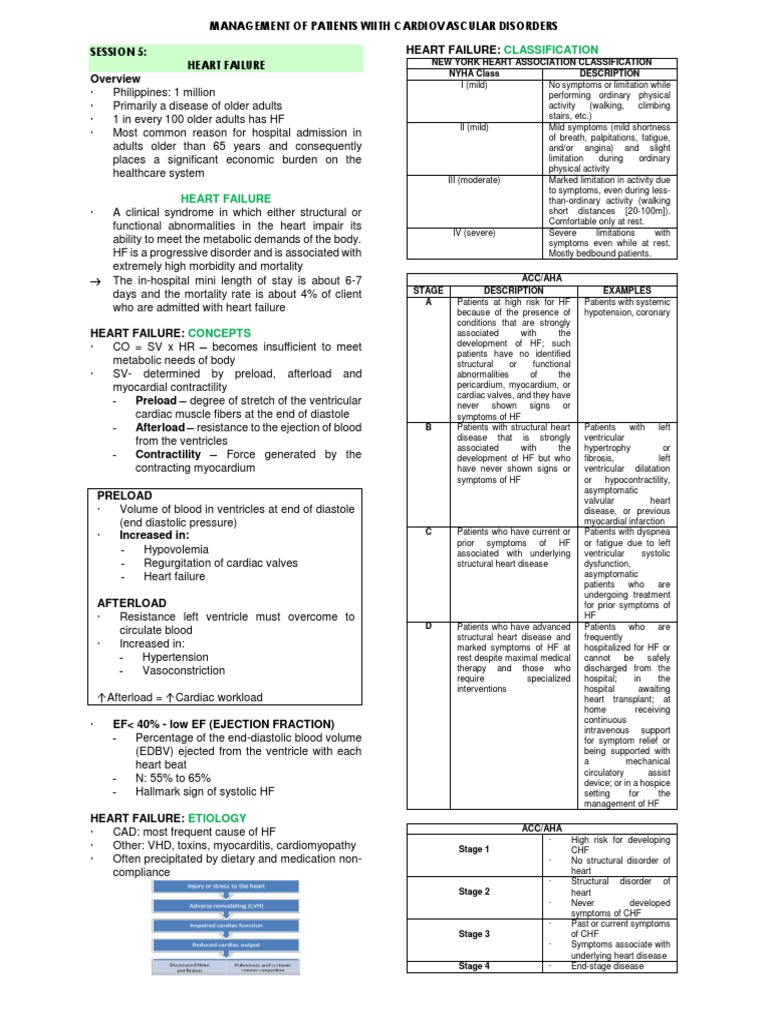 Cardio Notes 2 | PDF | Heart | Heart Valve
