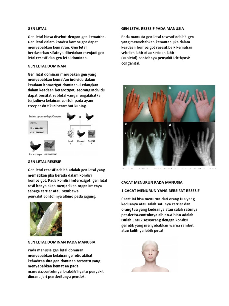 Gen Letal | PDF | Sains & Matematika