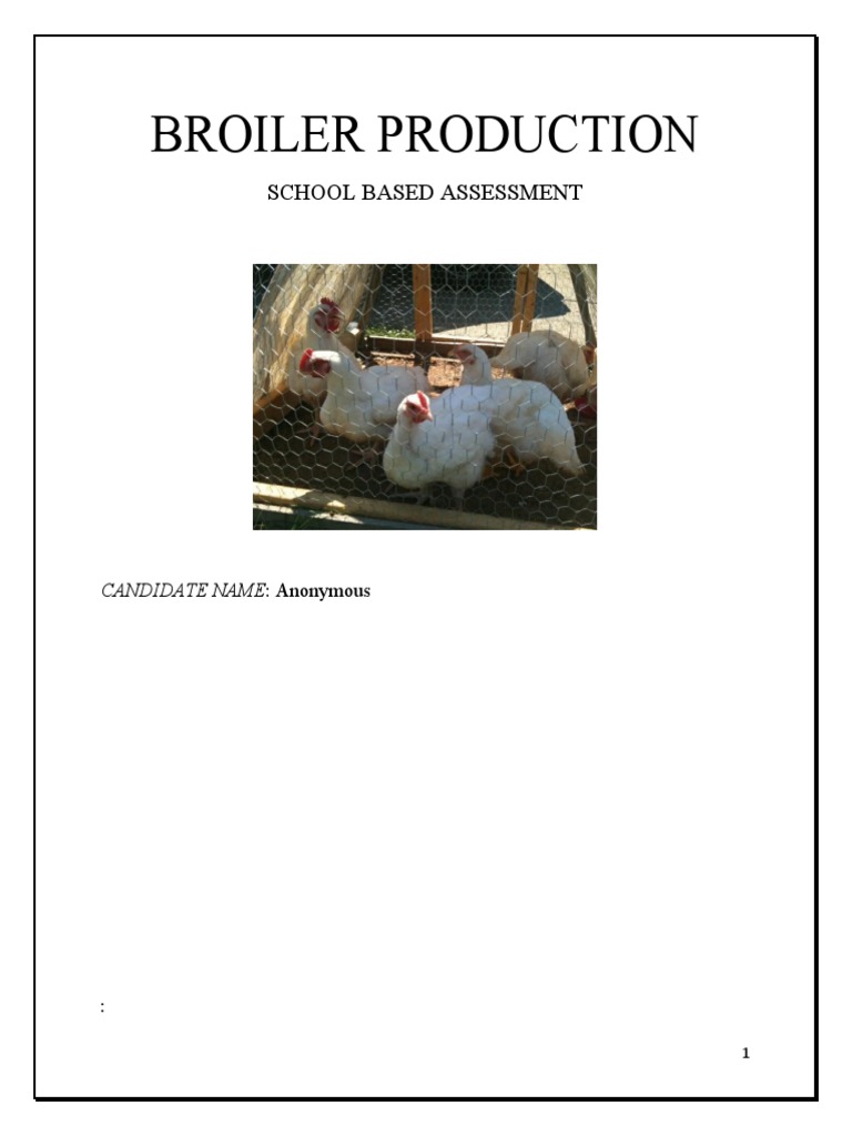 Broiler Production | PDF | Broiler