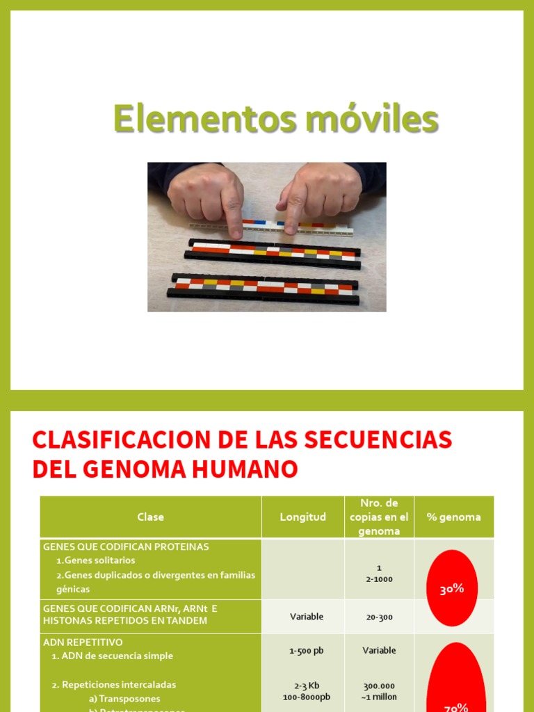 Clasificación de Elementos Móviles en Genoma | PDF | Elemento ...