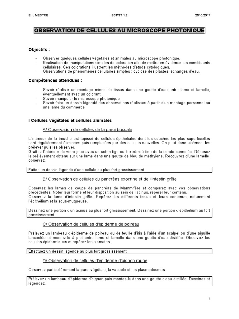 TP Cellules 1 - MO | PDF