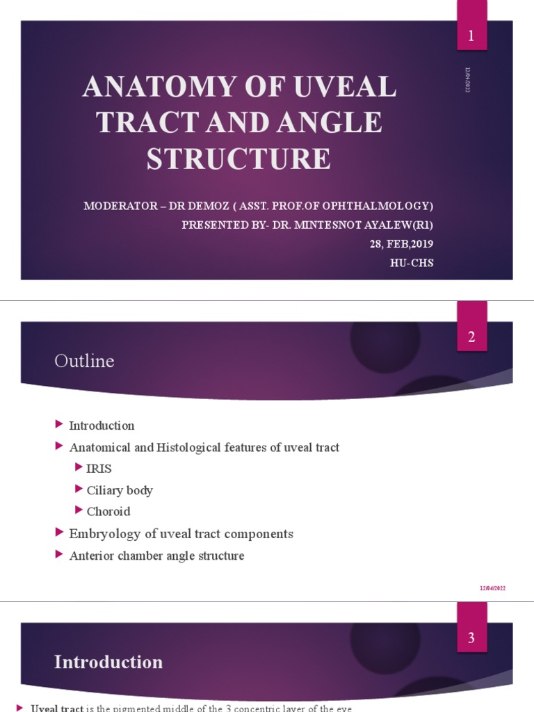 Anatomy of the Uveal Tract and Angle Structures | PDF | Epithelium | Retina