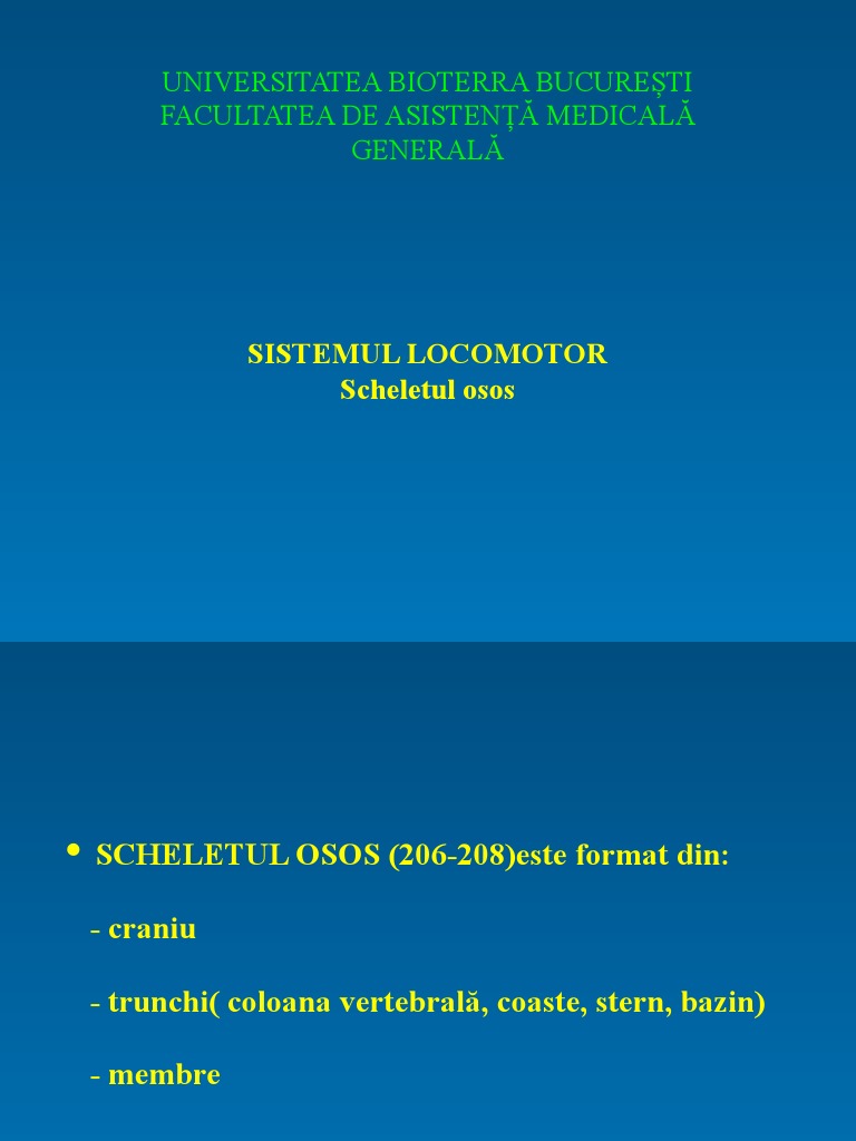 Oase 2 - Schelet | PDF