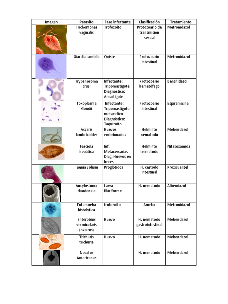 Tabla Parasitos Final | PDF