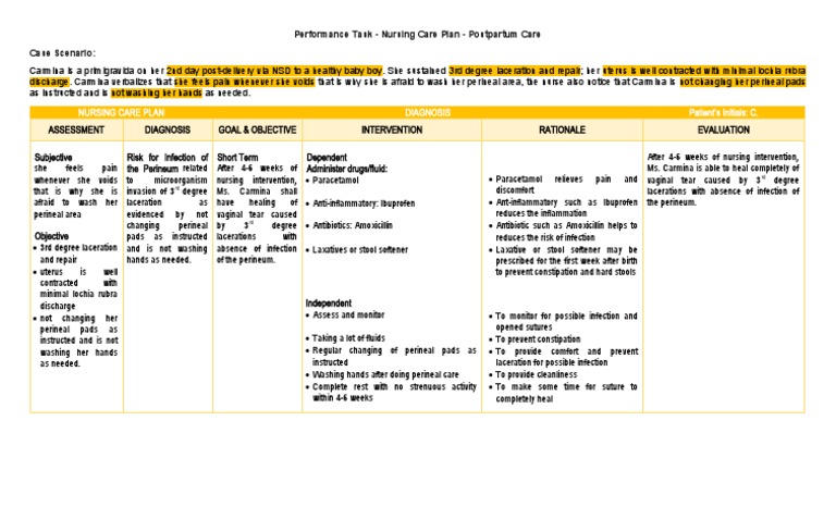 Nursing Care Plan for Postpartum Patient at Risk for Perineal Infection ...