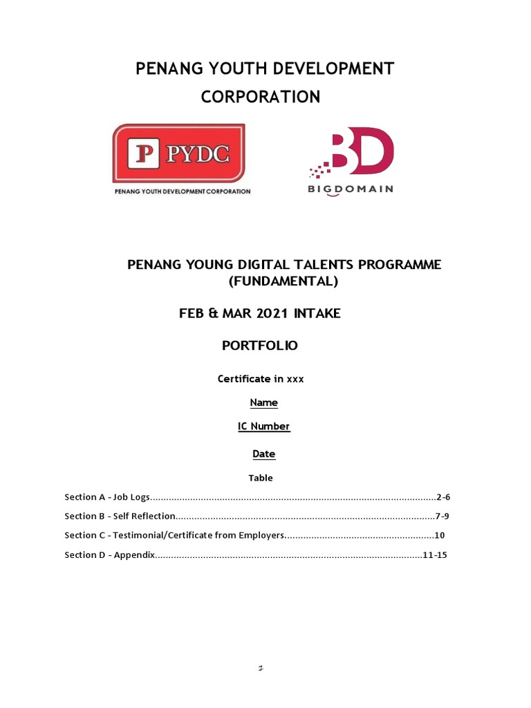 Sample Apprenticeship Report | PDF | You Tube | Communication