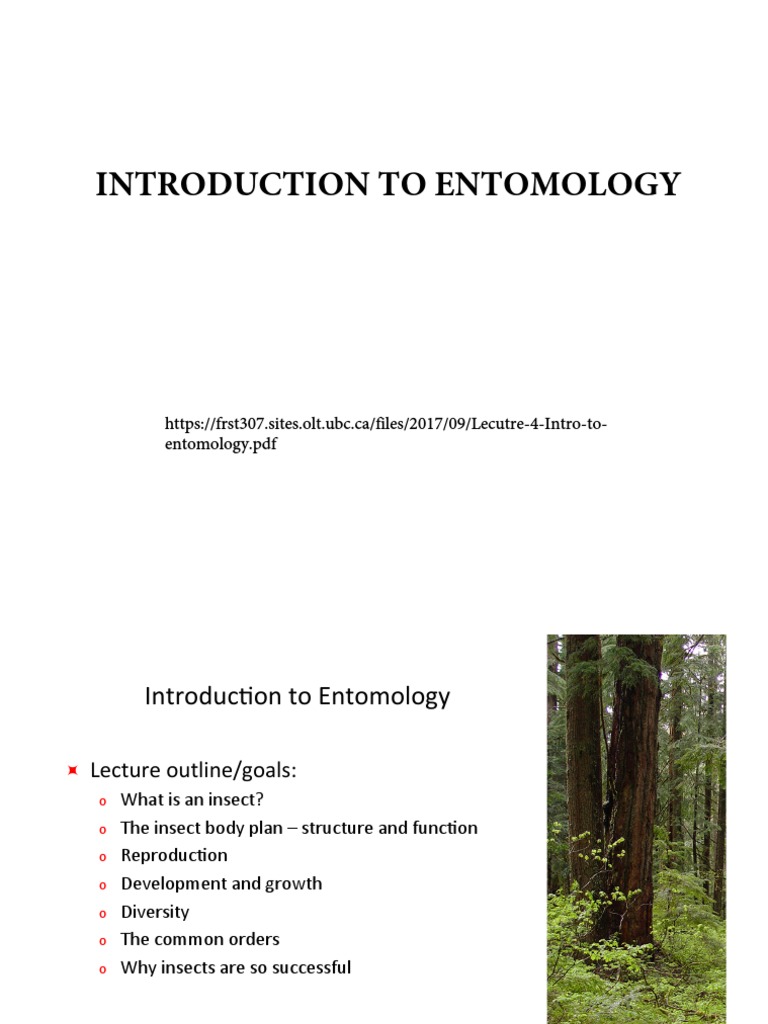Chapter 1 Introduction To Entomology | PDF | Insects | Fly
