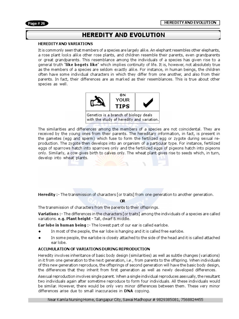2 Heridity | PDF | Genetics | Dominance (Genetics)