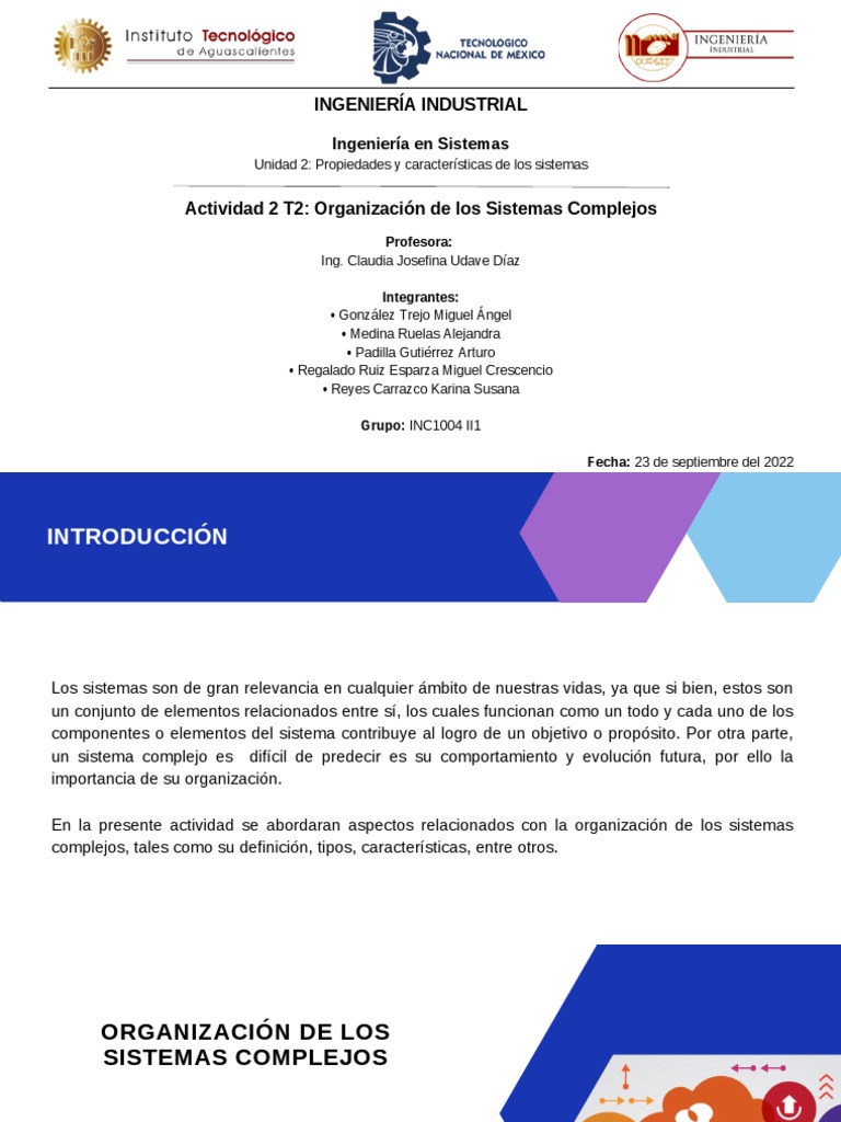 Organización de Los Sistemas Complejos | PDF | Sistema | Comportamiento