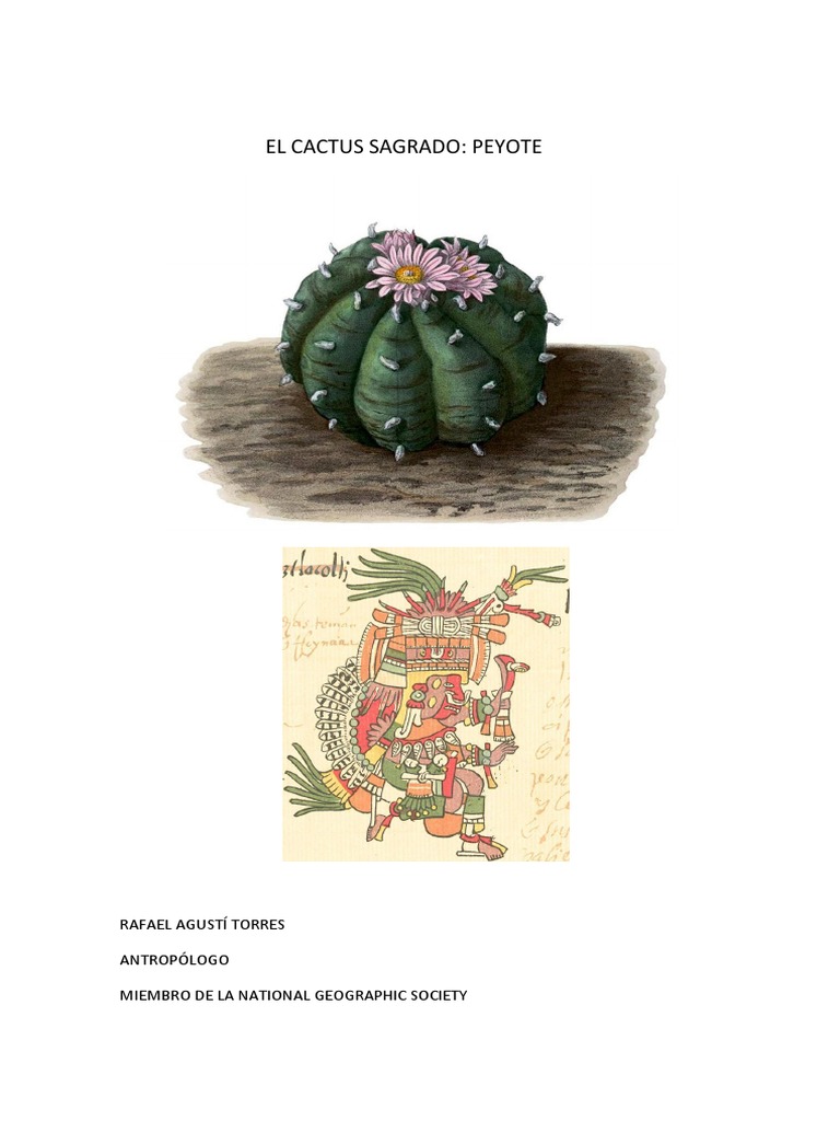 El Cactus Sagrado Peyote | PDF | Ciencia y matemáticas