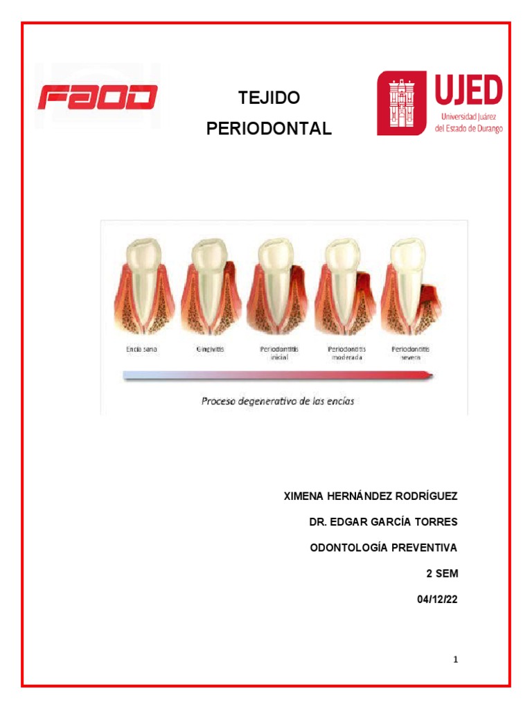 Tejido Periodontal | PDF | Ciencias de la Salud | Enfermedades y trastornos
