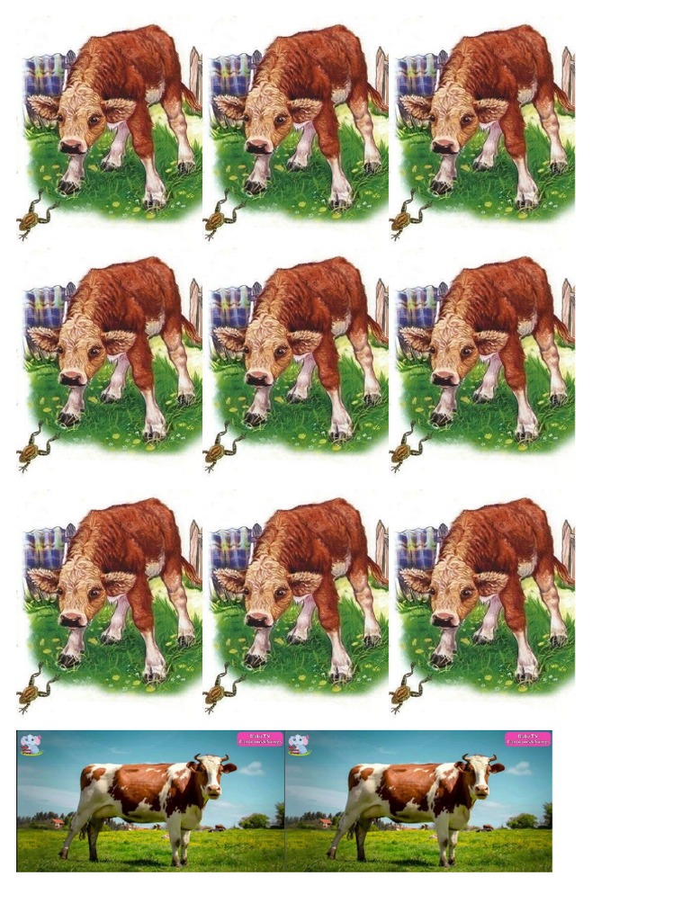 Imagini Pentru Jetoane | PDF