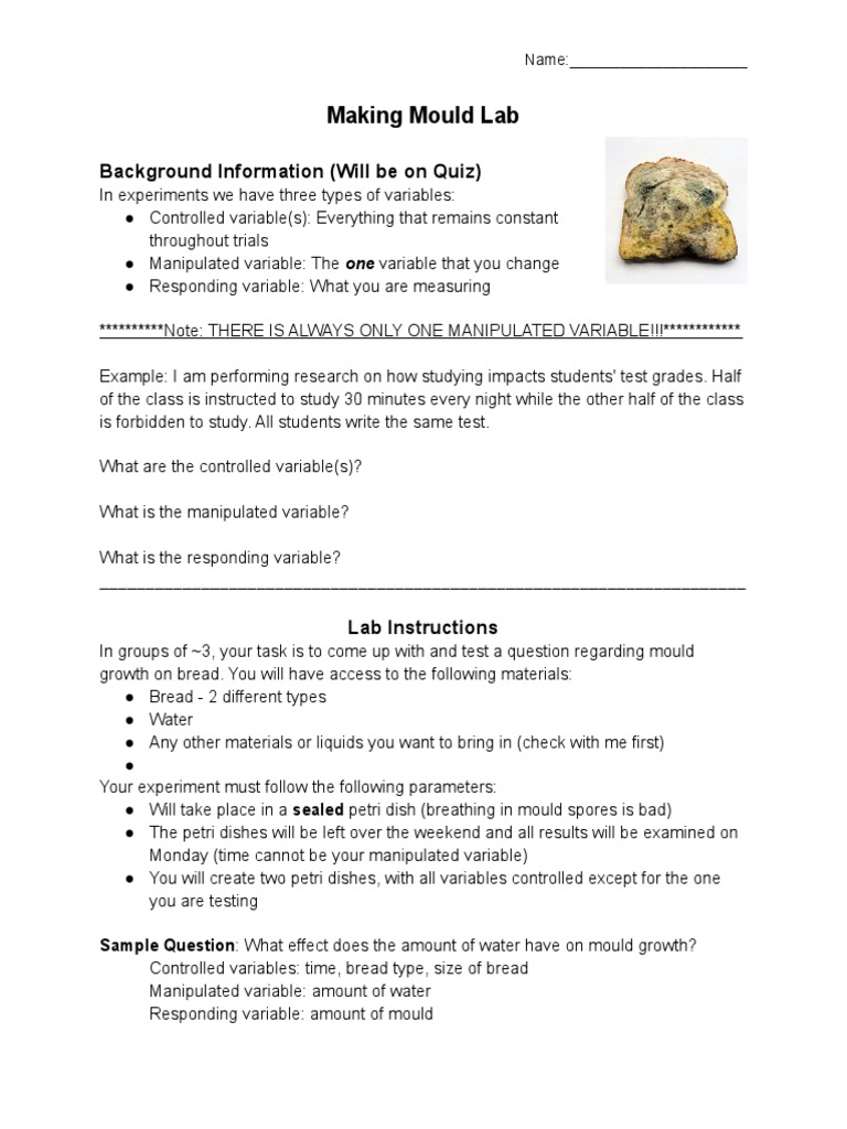 Making A Mould Lab 1 | PDF | Experiment | Scientific Method