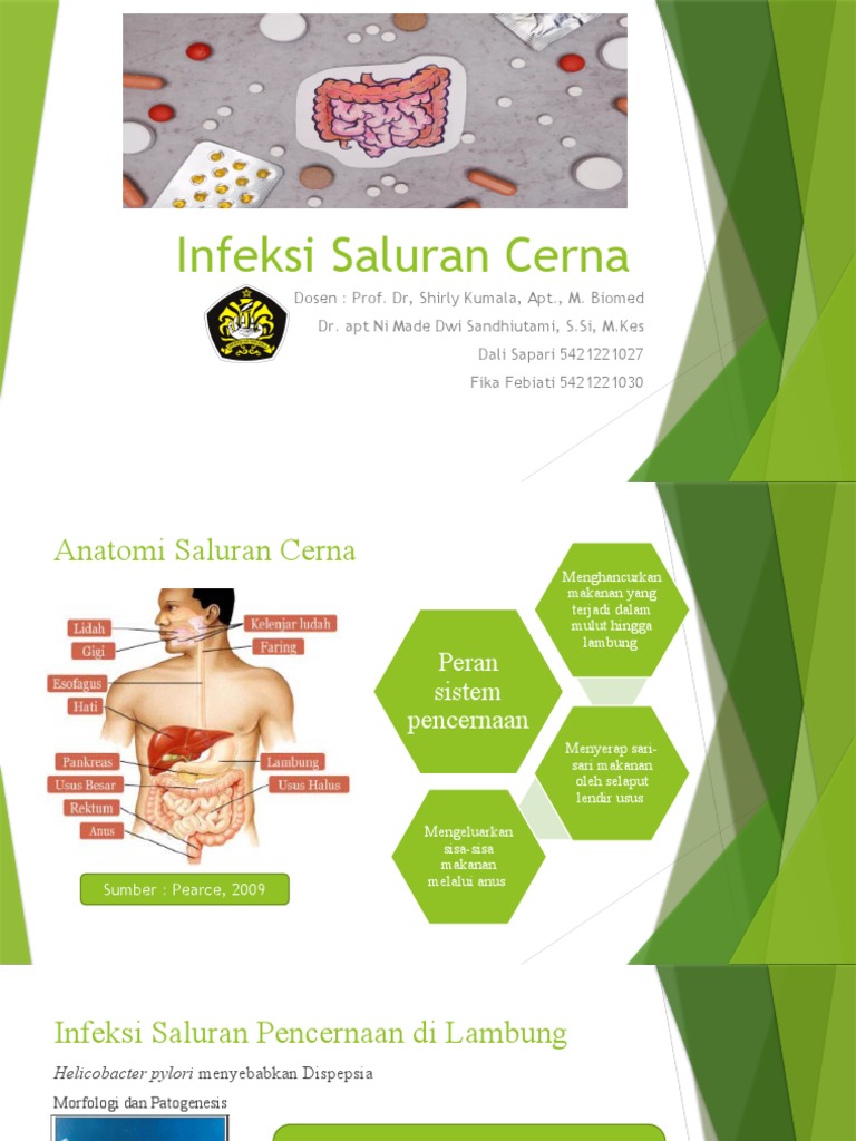 Infeksi Saluran Cerna | PDF