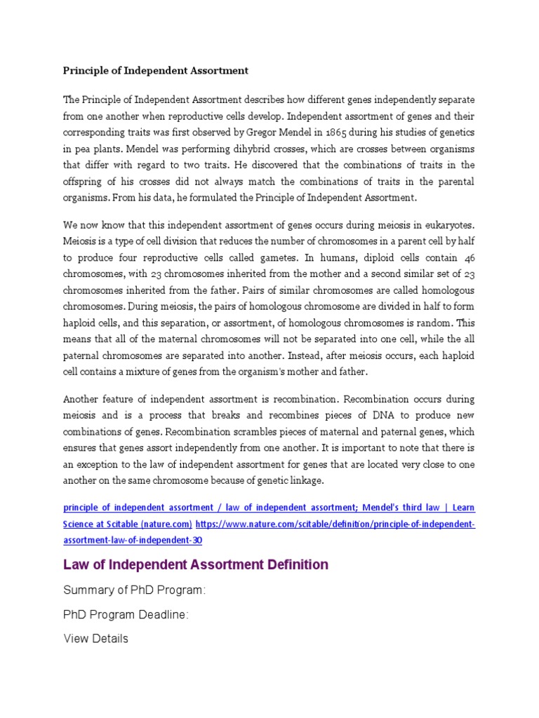 Law Independent Assortment | PDF | Meiosis | Ploidy