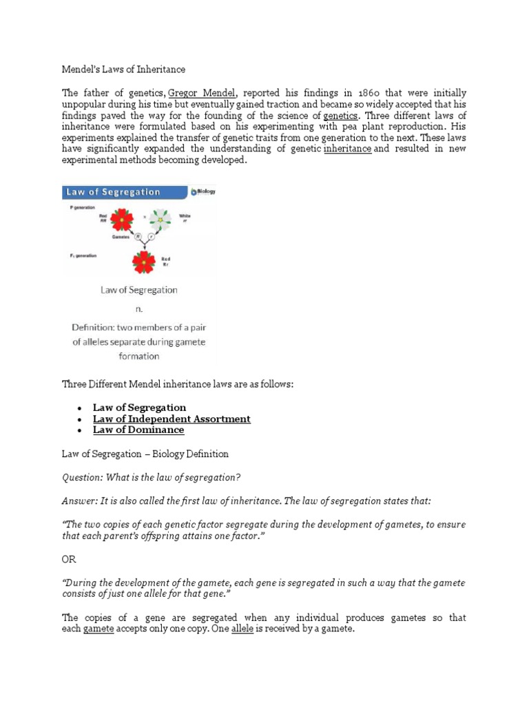Law of Segregation | PDF | Dominance (Genetics) | Meiosis