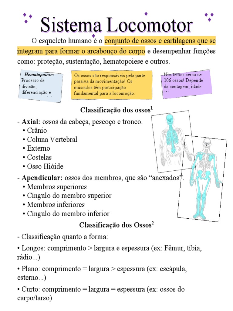 Estrutura E Funções Do Sistema Locomotor Pdf