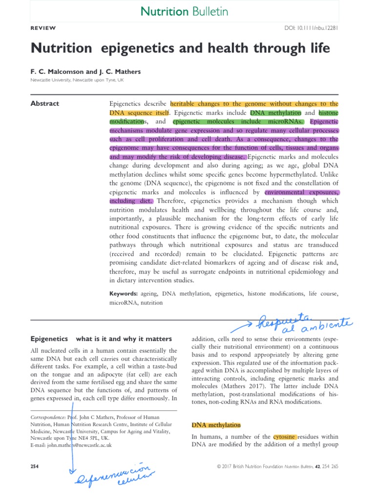 Nutrition, epigenetics and health through life ...