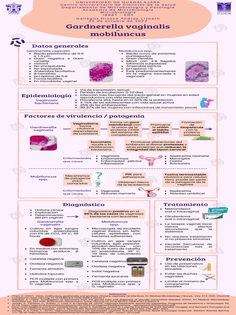 Infografía Gardnerella Vaginalis y Mobiluncus | PDF | Salud pública ...