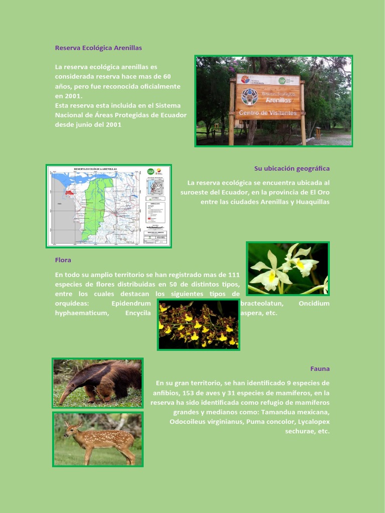 Reserva Ecológica Arenillas | PDF | Ciencia y matemáticas