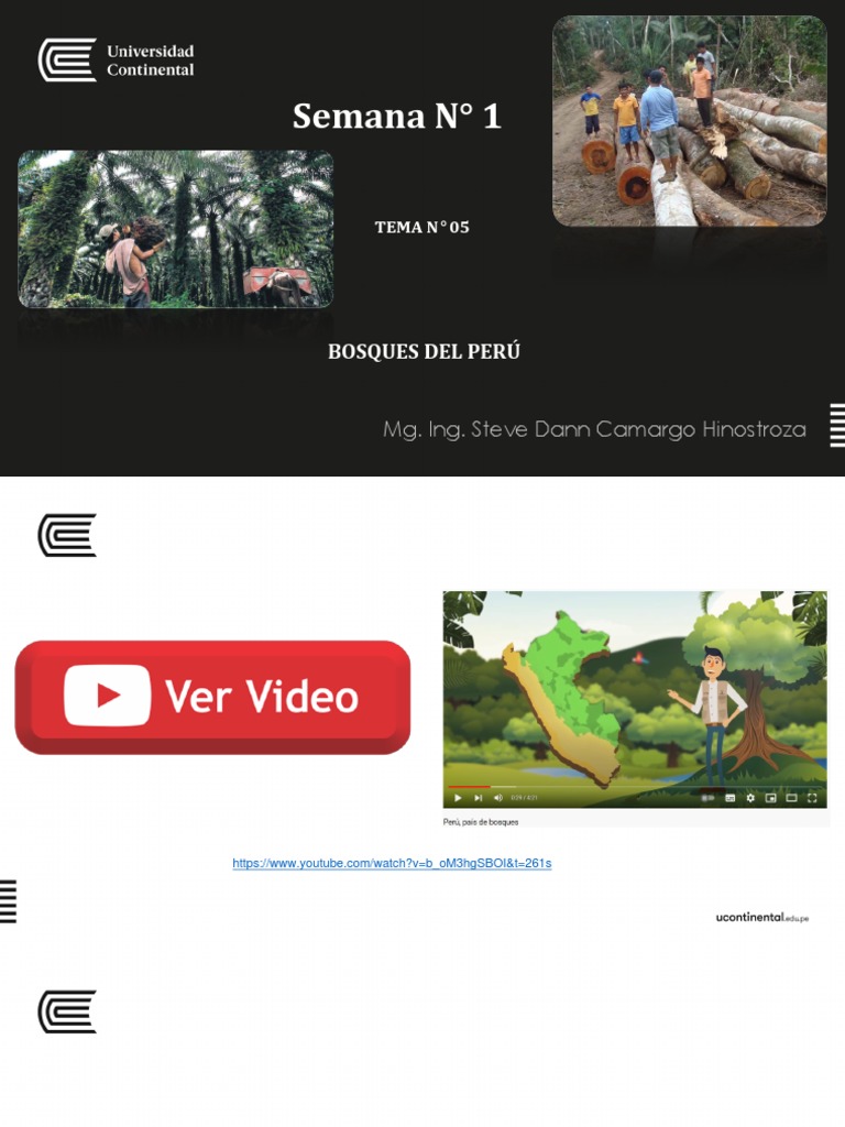 Tipos de Bosques en Perú: Ecosistemas Clave | PDF | Perú | Geografía Física