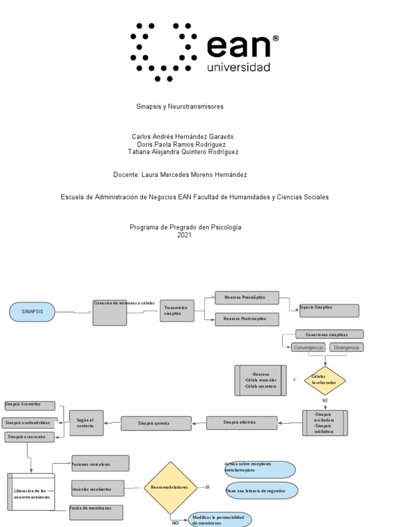 Trabajo Diagrama De Flujo Descargar Gratis Pdf Sinapsis Sinapsis