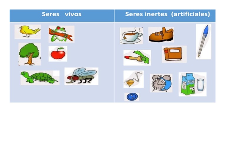 Seres Vivos y Inertes | PDF