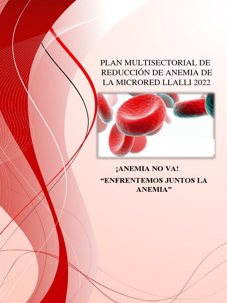Plan de Reducción de Anemia - Microred Llalli | PDF | Igualdad de género | Estudios de género