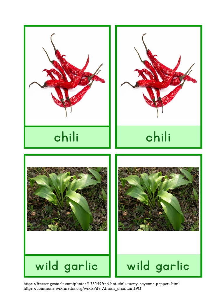 00 Herbs and Spices 3 Part Cards English 01 | PDF | Dill | Fennel