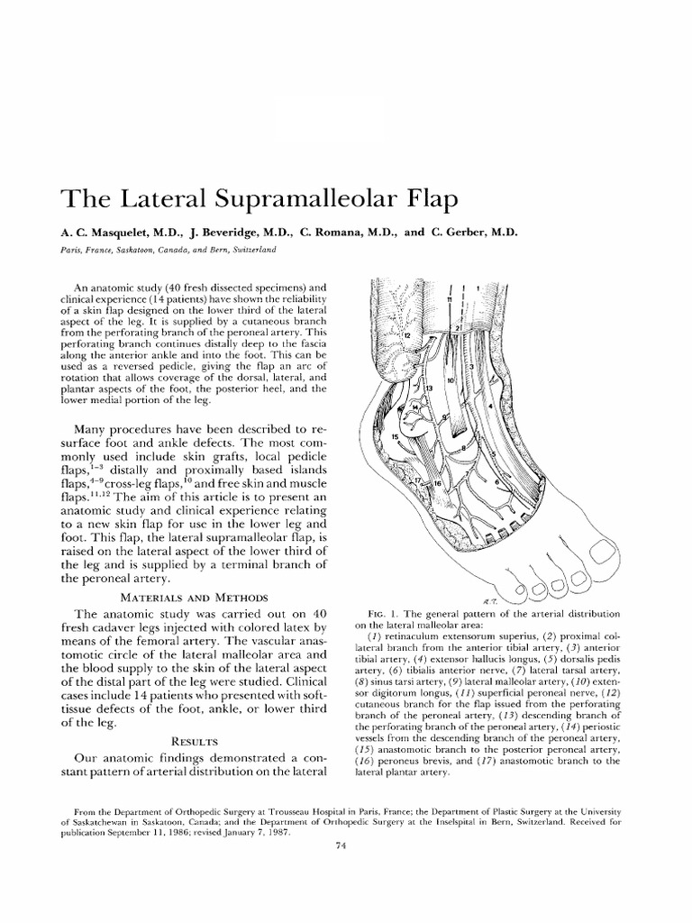 Masquelet1988 The Lateral Supramalleolar Flap | PDF
