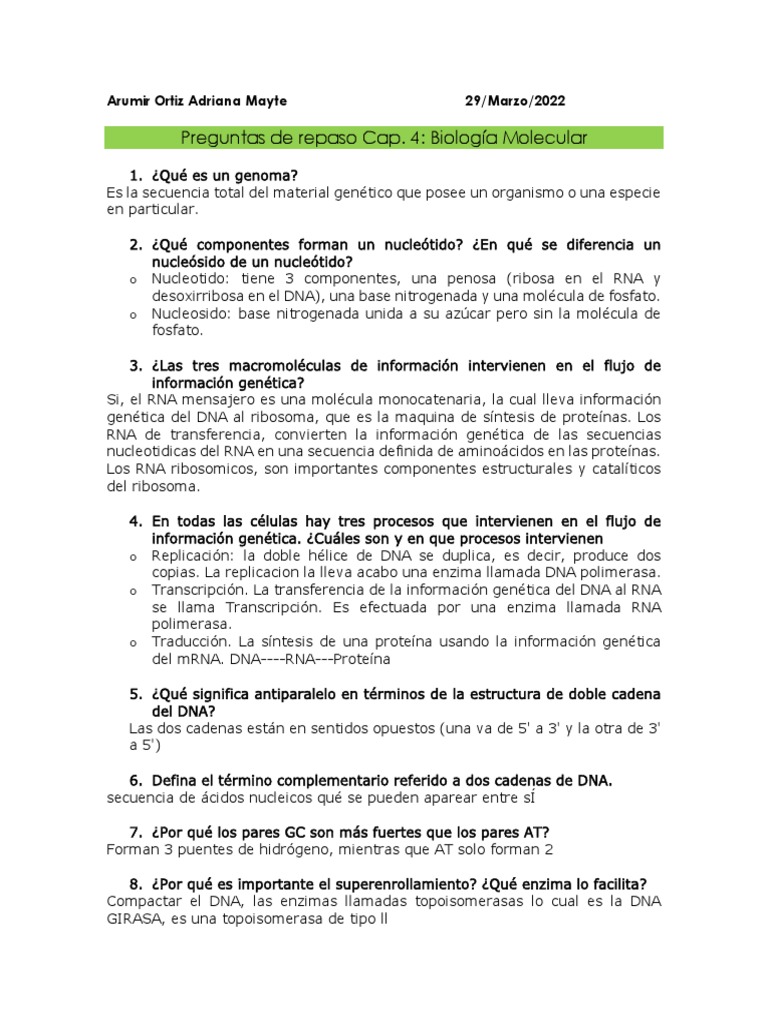 Preguntas de Repaso, Arumir Ortiz Adriana Mayte | PDF | Rna | Adn