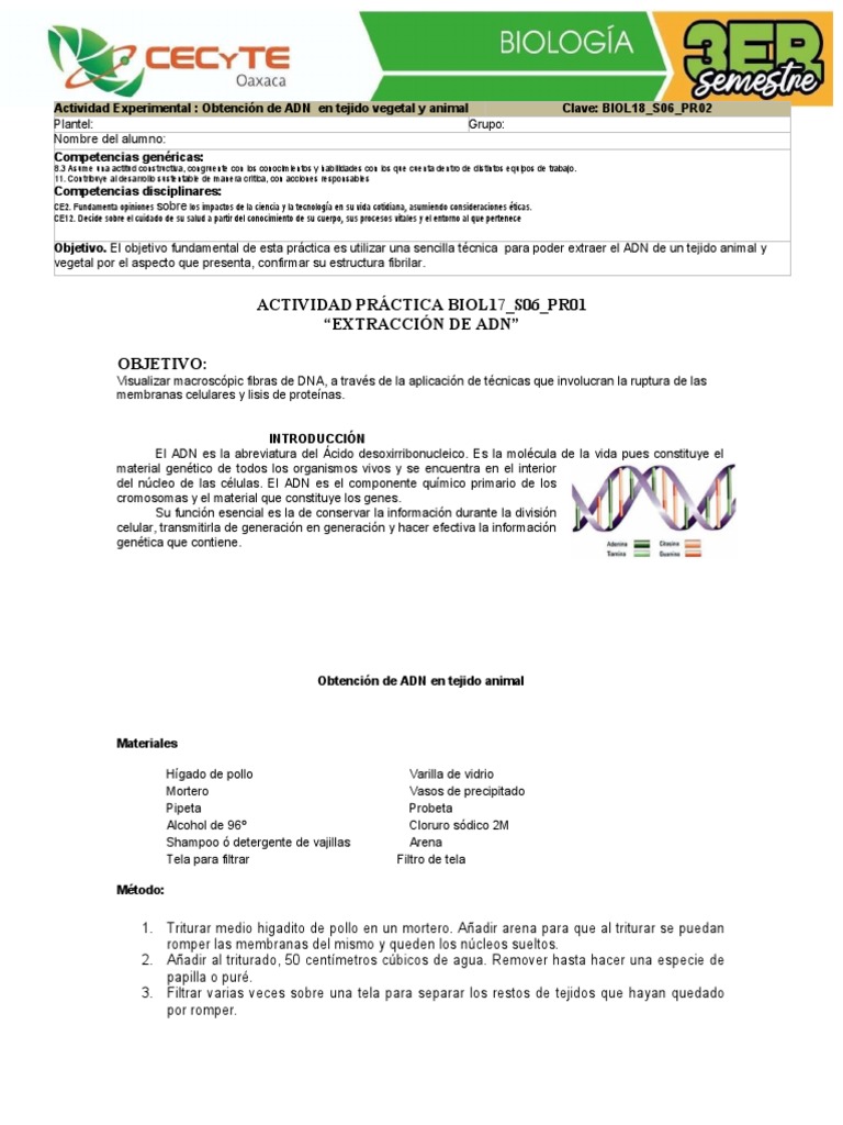 BIOL19 - S05 - PR02 Extracción de ADN en El Tejido Vegetal y Animal | Descargar gratis PDF | Adn ...