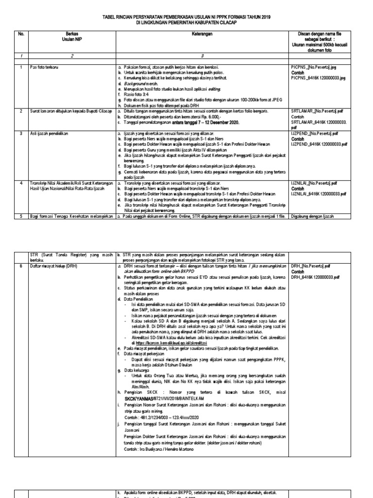 Persyaratan Berkas DRH PPPK 2024 | PDF