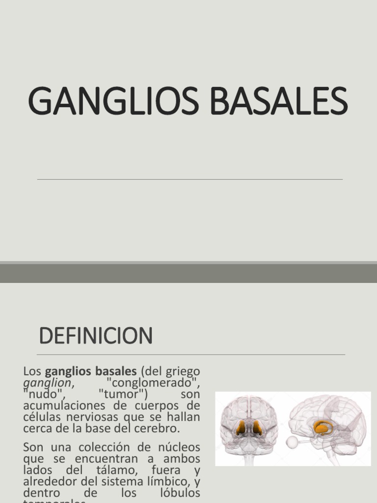 Ganglios Basales | PDF | Ganglios basales | Cerebro