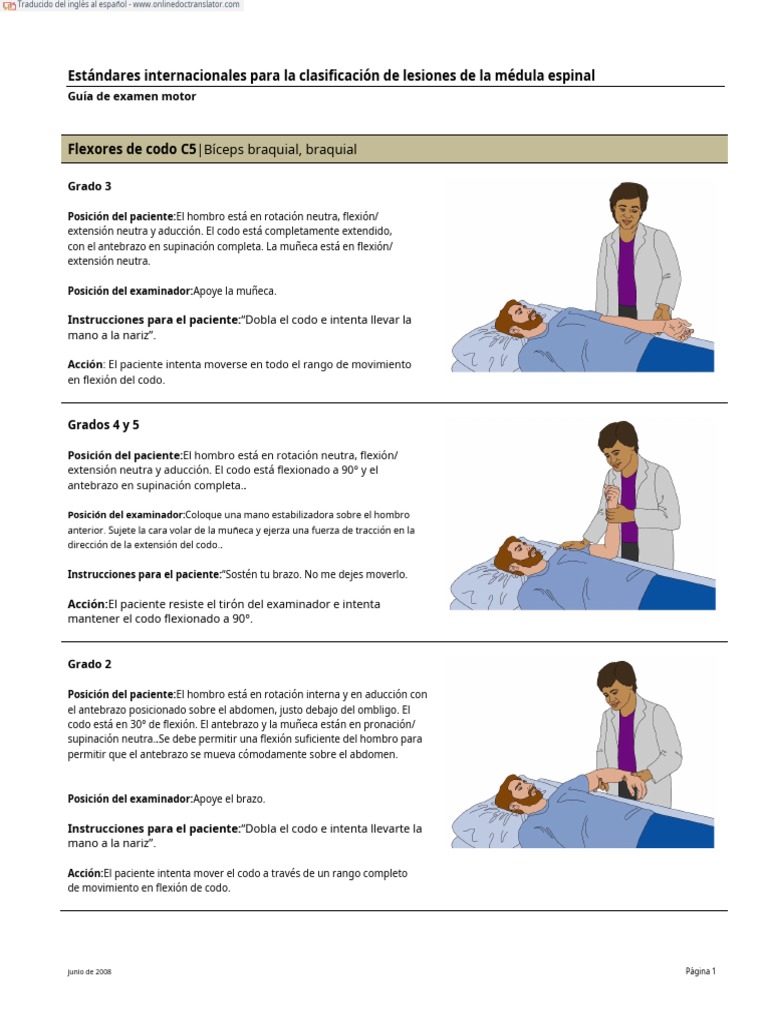 EVA Motor - Index - Score (2) .En - Es | PDF | Codo | Tobillo