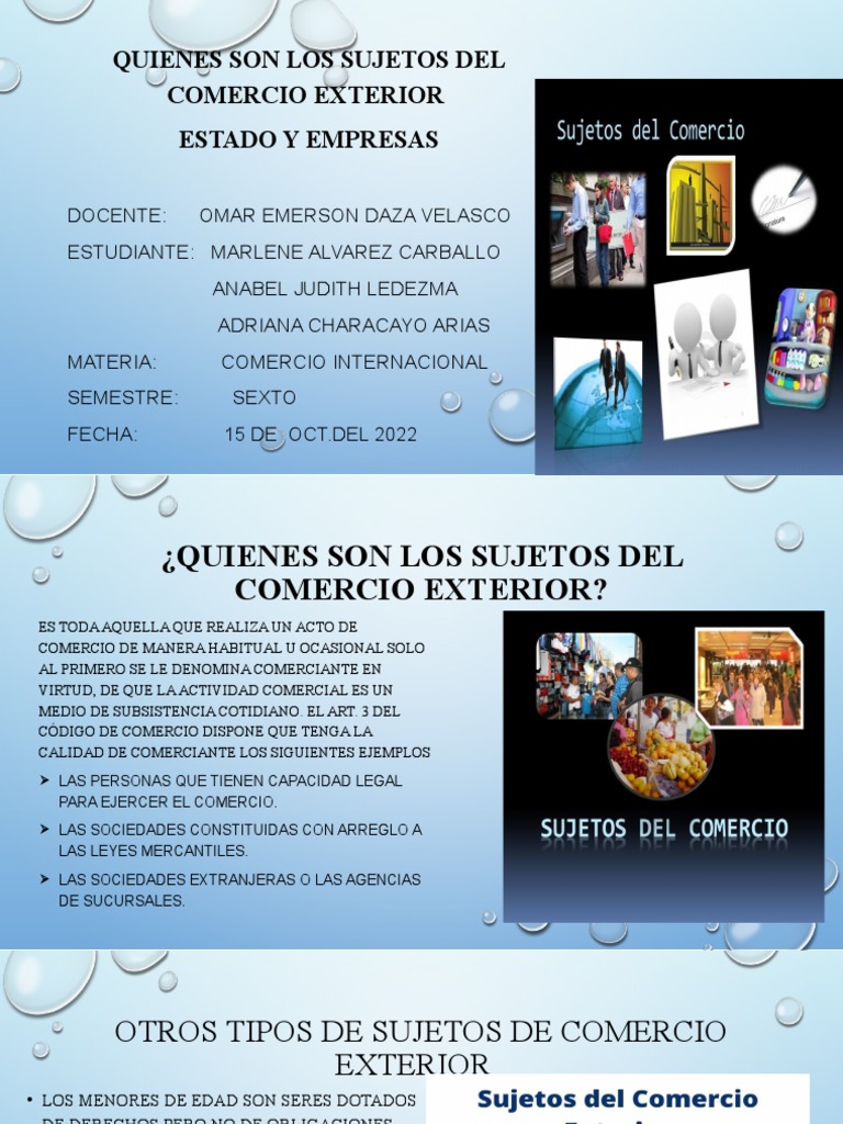 Quienes Son Los Sujetos Del Comercio Exterior | PDF