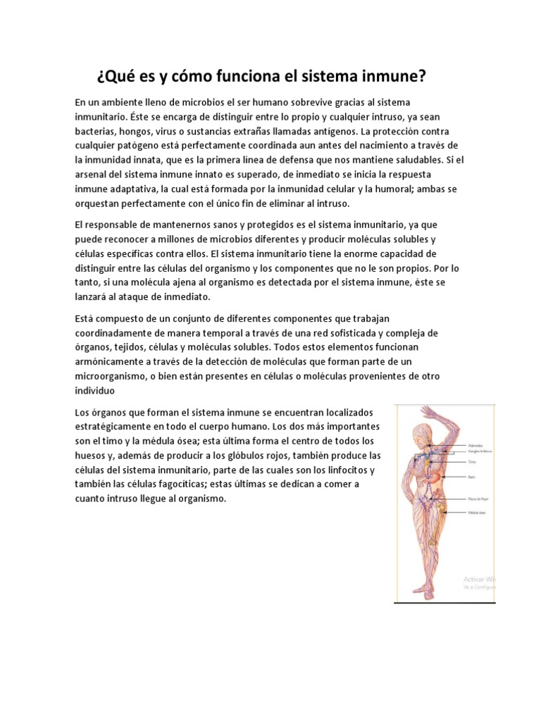 Anatomia Del Sistema Inmunologico | PDF | Sistema inmune | Sistema inmune innato