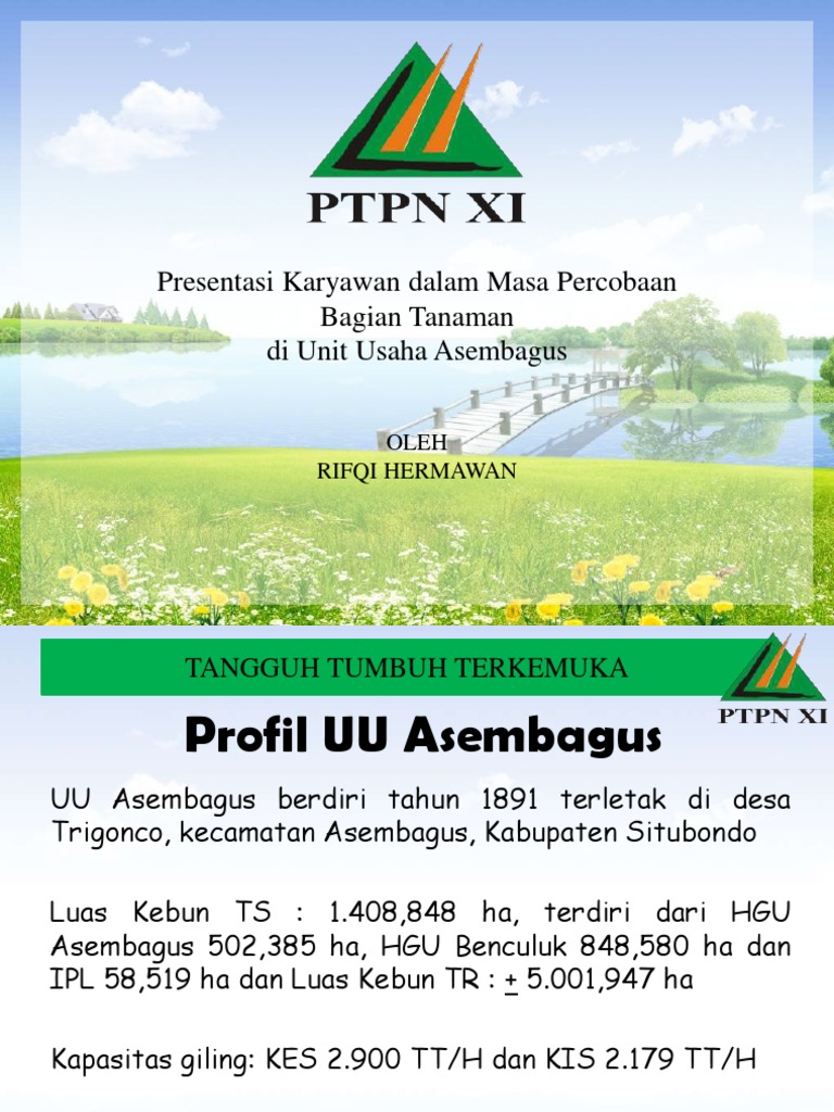 Presentasi Pabrik Gula Asembagus | PDF