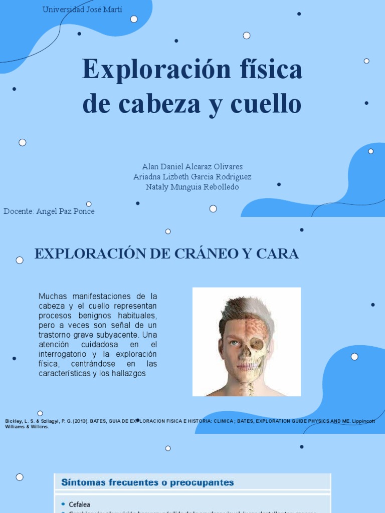 Exploración Física de Cara y Cuello | PDF | Perdida de cabello | Cráneo