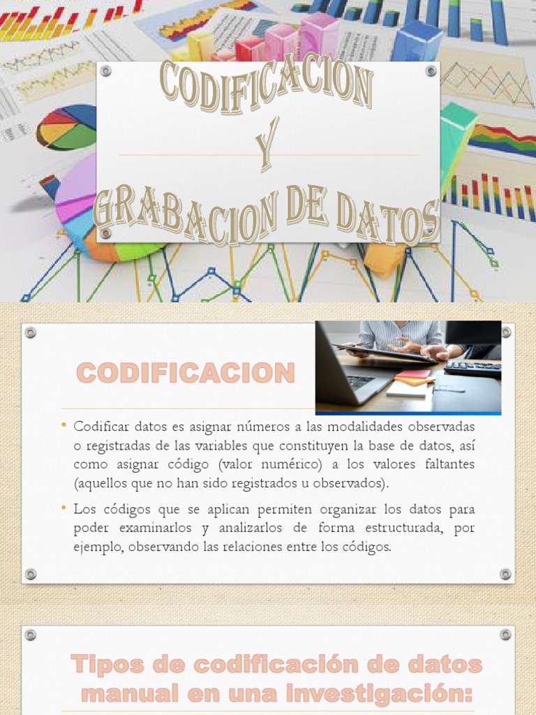 Codificación de Datos en Investigación | PDF