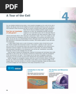DMRC Phase V Corridors With Map | PDF | Transport | Rail Infrastructure