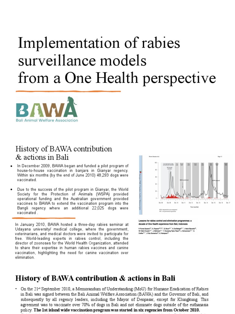 Rabies Control Strategies in Bali | PDF | Rabies | Dogs
