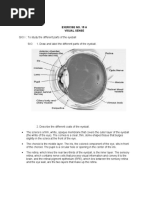 Understanding LPO and HPO in Microscopy | PDF | Microscope | Optics