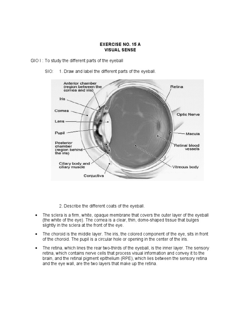Week 4 Lab Exercise - Special Senses | PDF | Retina | Taste Week 4 Lab Exercise - Special Senses | PDF | Retina | Taste